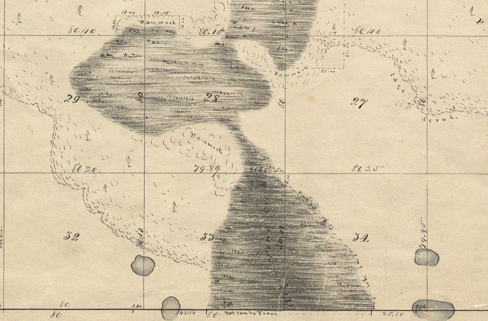 Hidden Florida – Paper Cut-Outs of Matisse