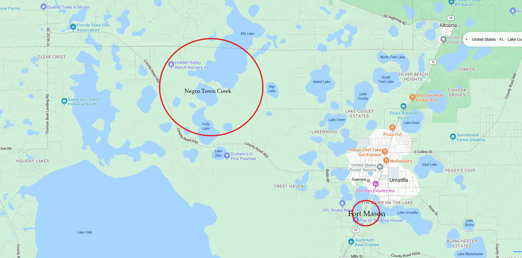 Hidden Florida – Paper Cut-Outs of Matisse